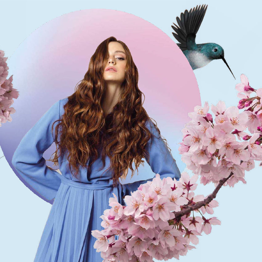 Curl me up – Nouvelle Color